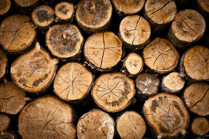 Axes for Felling & Splitting Wood | Cyclone Tools