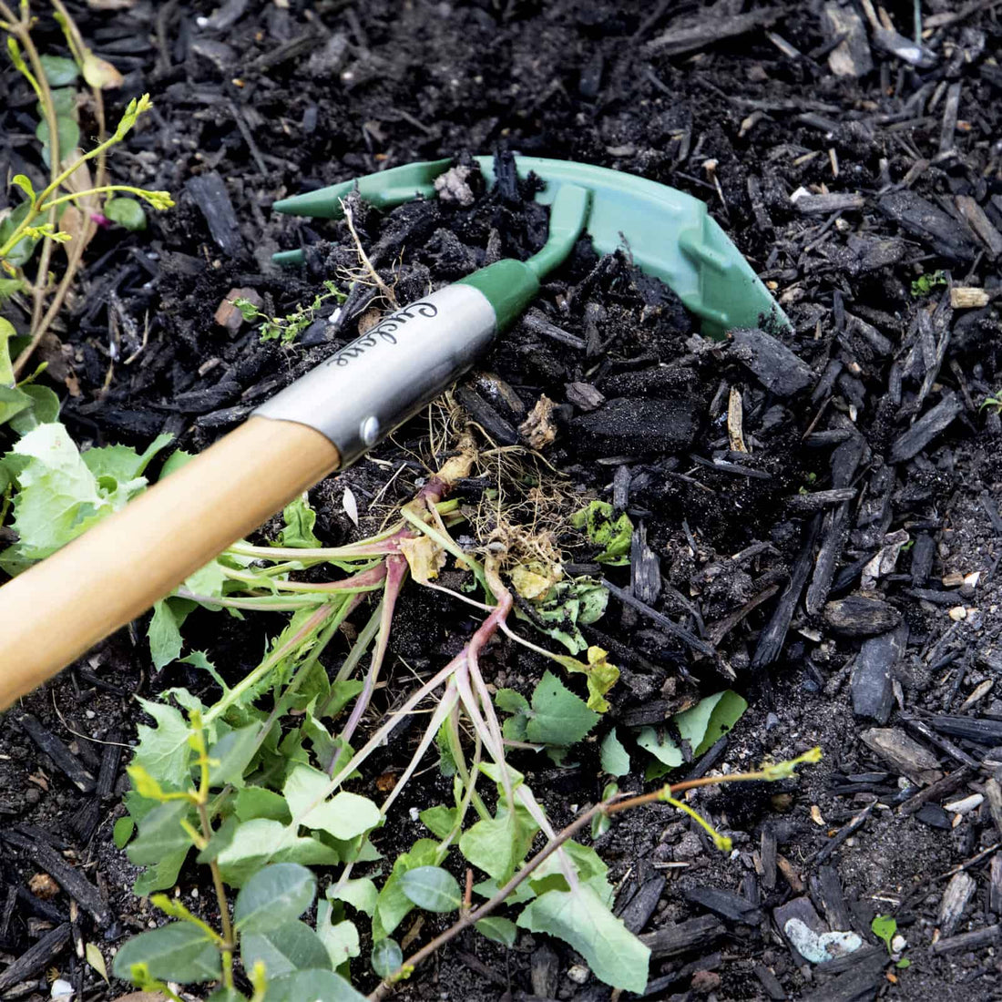 Lawn Maintenance – Cyclone Tools