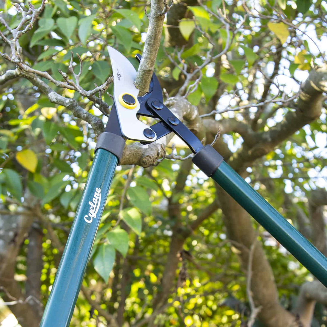 Telescopic Quick-Pull™ Tree Pruner – Cyclone Tools