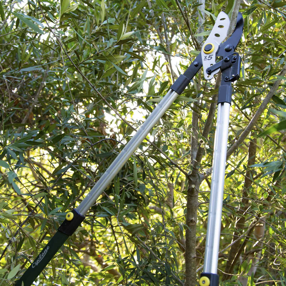 Garden Loppers for Pruning & Branch Cutting - Cyclone Tools