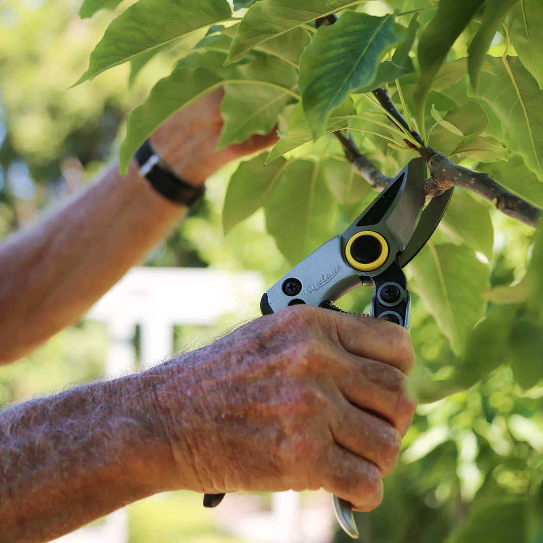 Heavy Duty Bypass Pruner – Cyclone Tools
